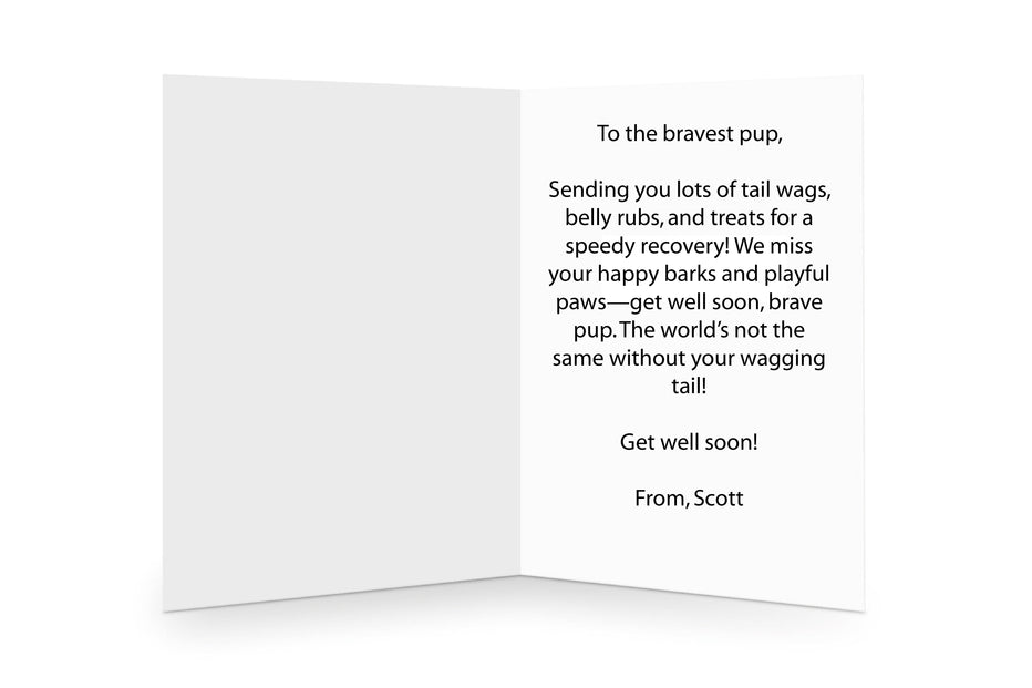 Dog get well soon card – Dolphin & Dog™